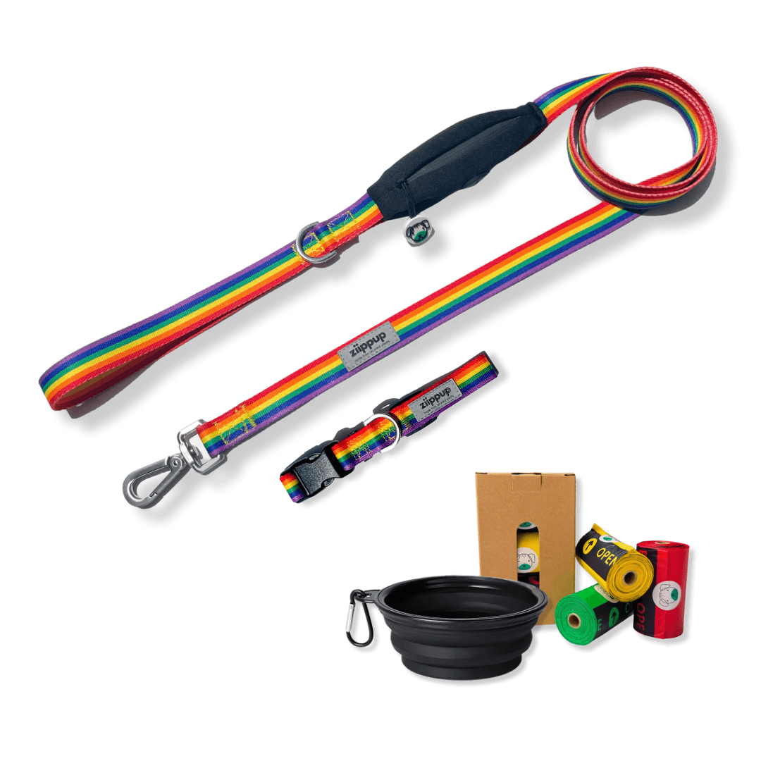 Rainbow Puppy Pack | Save 25% – ziippup